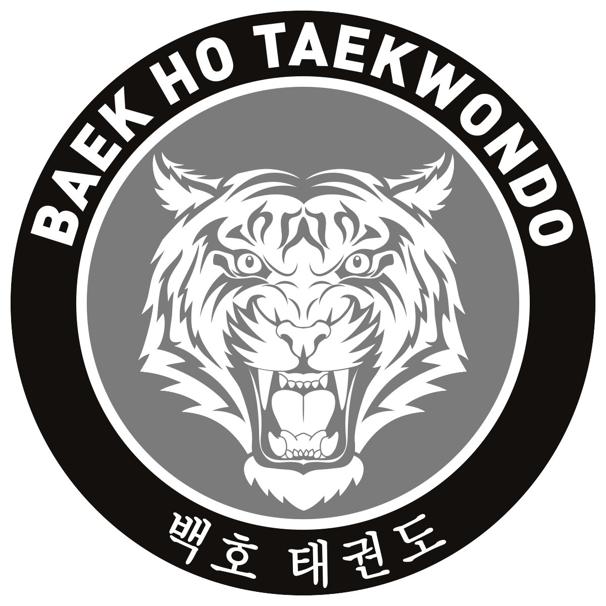 Home - Baek Ho Taekwondo